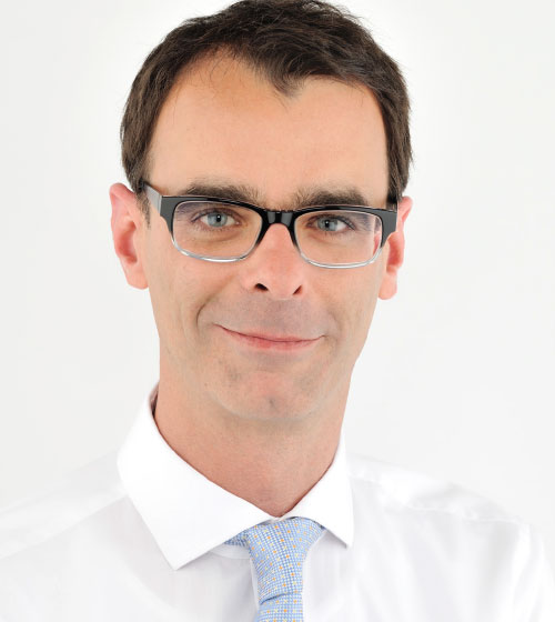 Mareš - Solutions in terminology, translation, processes, training